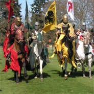 Der Ritter und seine Knappen - Toms großer Feldzug (1/2) hören und